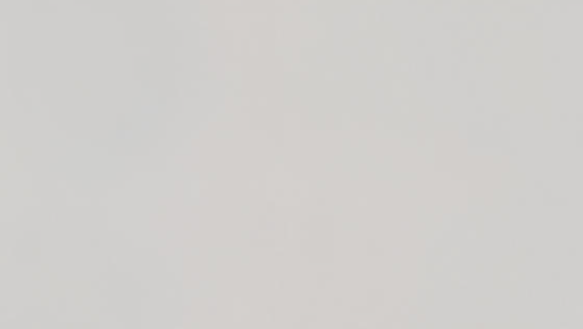 OmegaStone (Quartz) | Wisenbaker Builder Services, Inc.